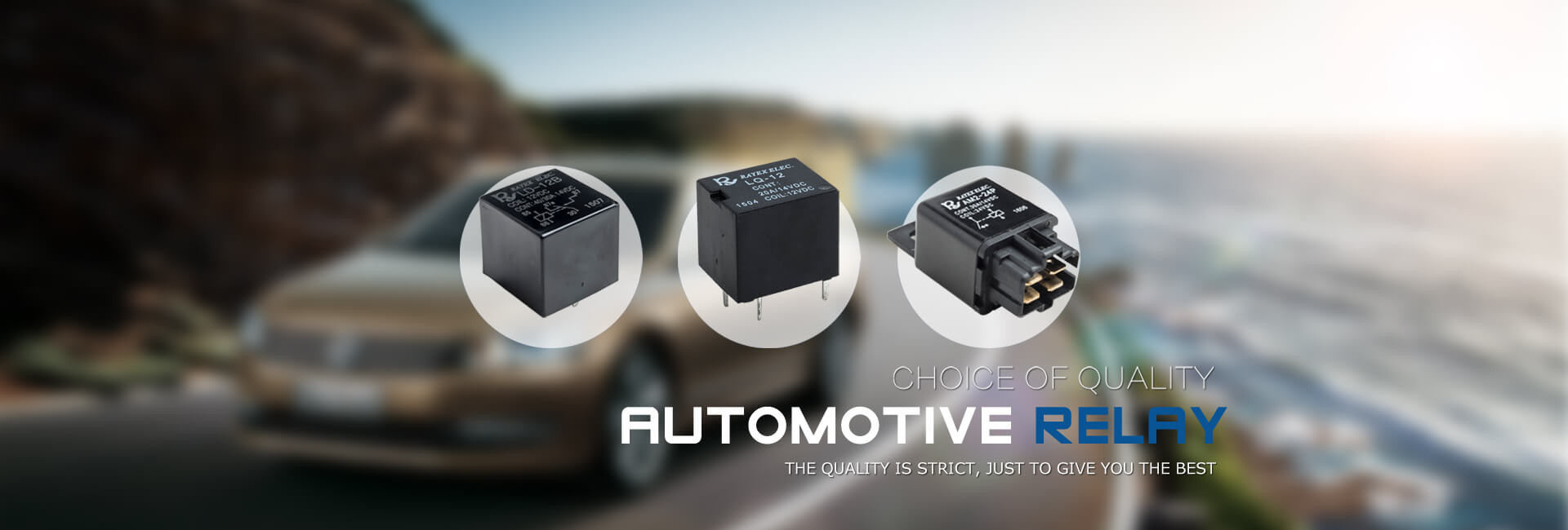 RAYEX ELECTRONICS CO., LTD - relay switch,electrical relay,automotive ...